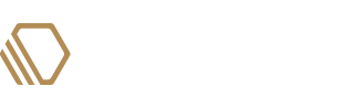 Regiment LLC